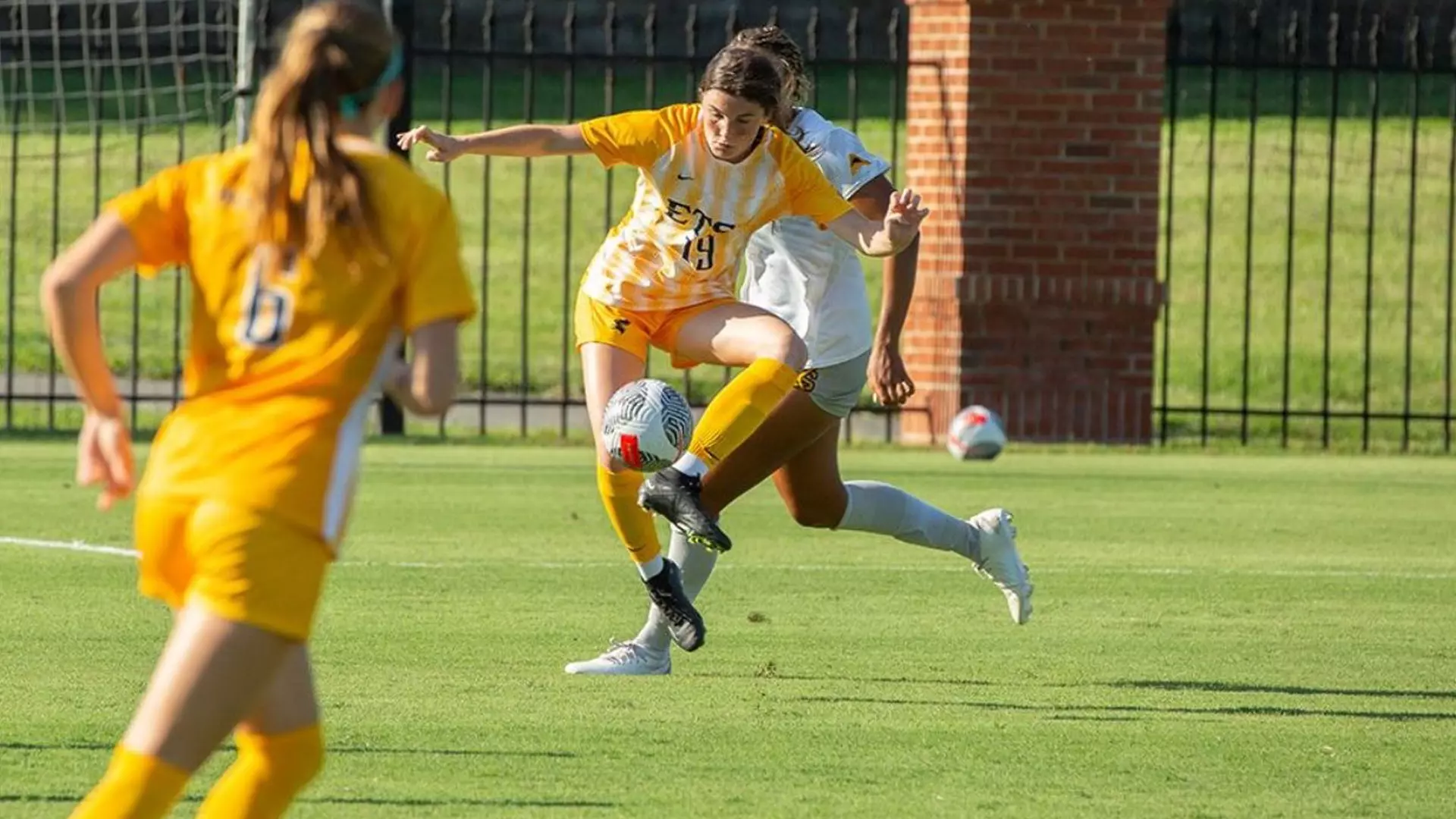 Fitzgerald Named SoCon Offensive Player Of The Week – GreeneSportsZone