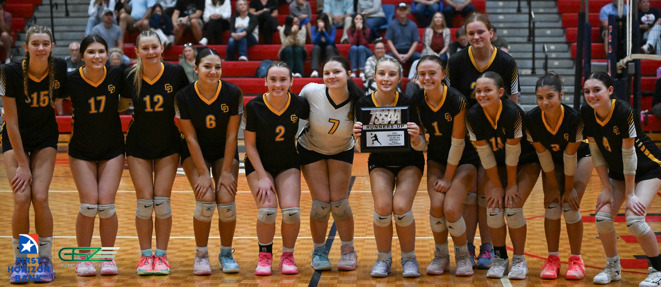 Chuckey-Doak Settles For 2nd In District 1-AA Tournament – GreeneSportsZone