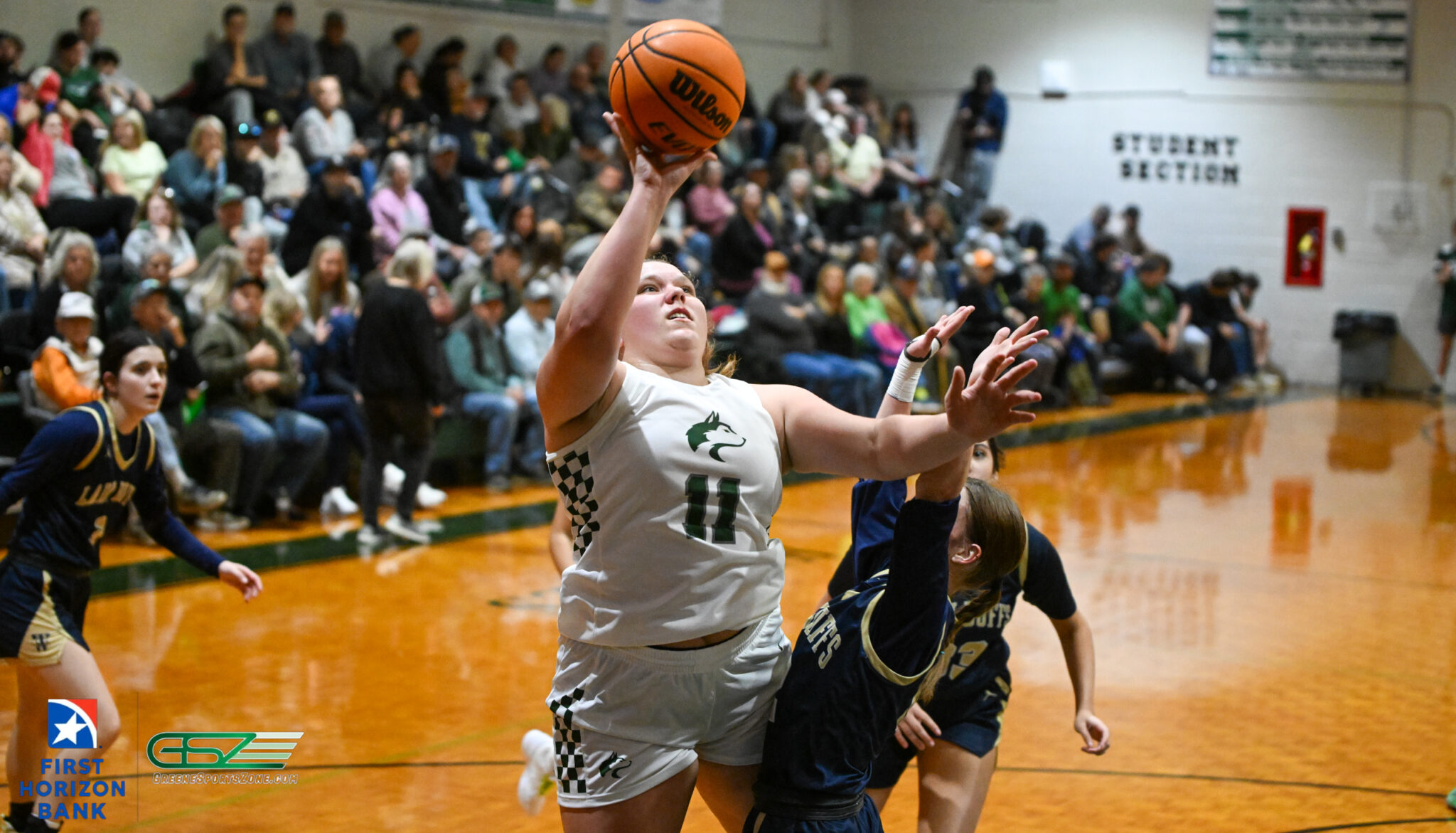 Lady Huskies Rally In 2nd Half To Top West Greene; Buchanan Earns 500th ...
